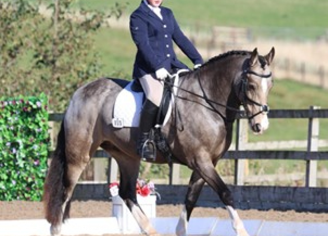 𝐍𝐨𝐯𝐞𝐦𝐛𝐞𝐫 𝐇𝐨𝐫𝐬𝐞 𝐨𝐟 𝐭𝐡𝐞 𝐌𝐨𝐧𝐭𝐡 𝐖𝐢𝐧𝐧𝐞𝐫! | Blog