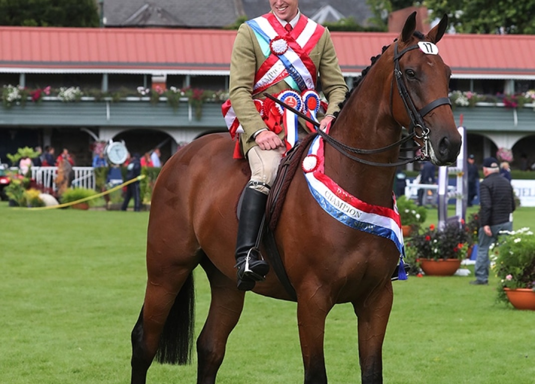 PJ Casey Wins Supreme Hunter Championship at Dublin for the First Time