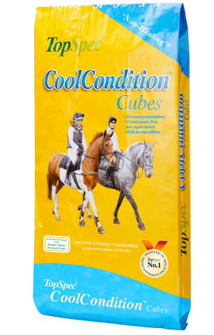 TopSpec CoolCondition Cubes