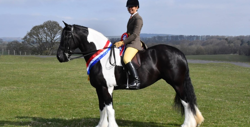 Horse Feeds, Balancers, Supplements & Additives | TopSpec