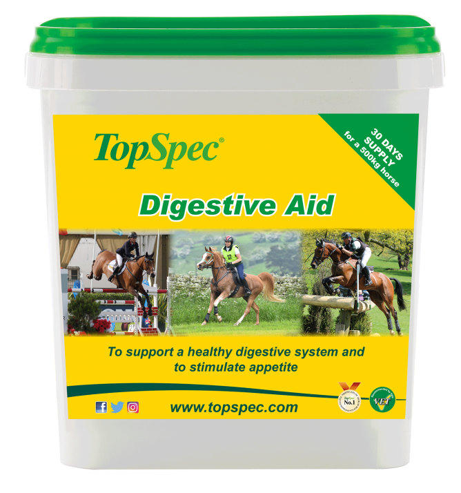 TopSpec Digestive Aid