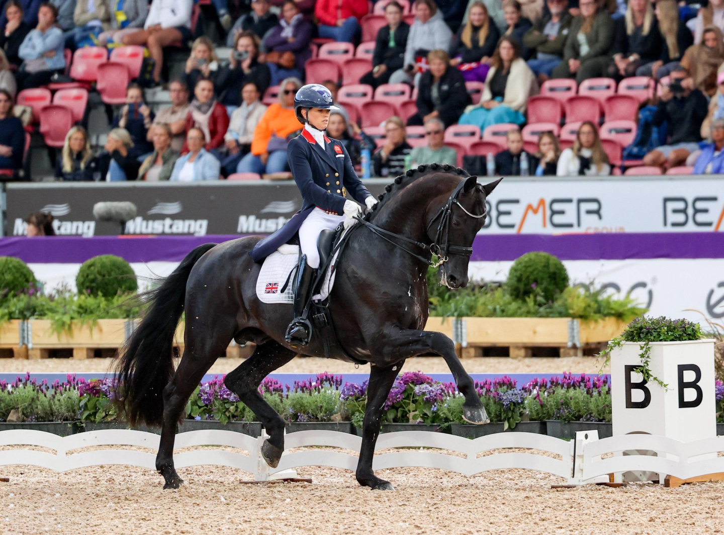 Horse Feeds, Balancers, Supplements & Additives | TopSpec