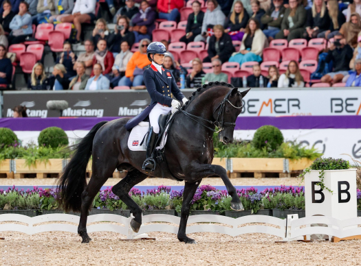 Horse Feeds, Balancers, Supplements & Additives | TopSpec